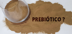 O que é Prebiótico? E para que serve? – Nutricon